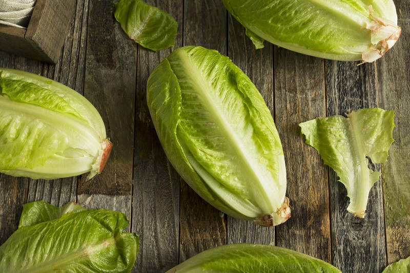 Roasted Veggies | The Palm South Beach Diet Blog